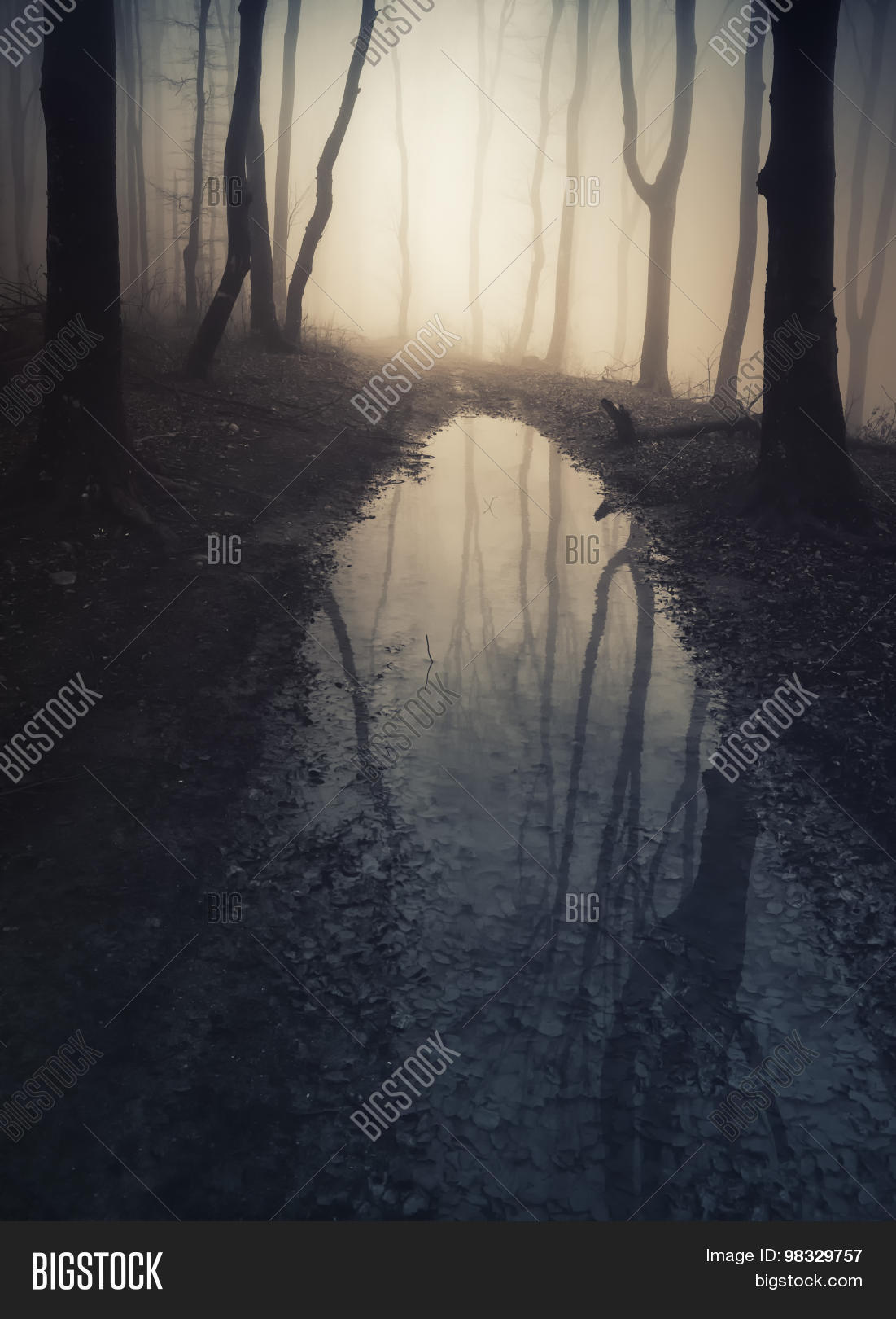 Lake Haunted Forest Image & Photo (Free Trial) | Bigstock