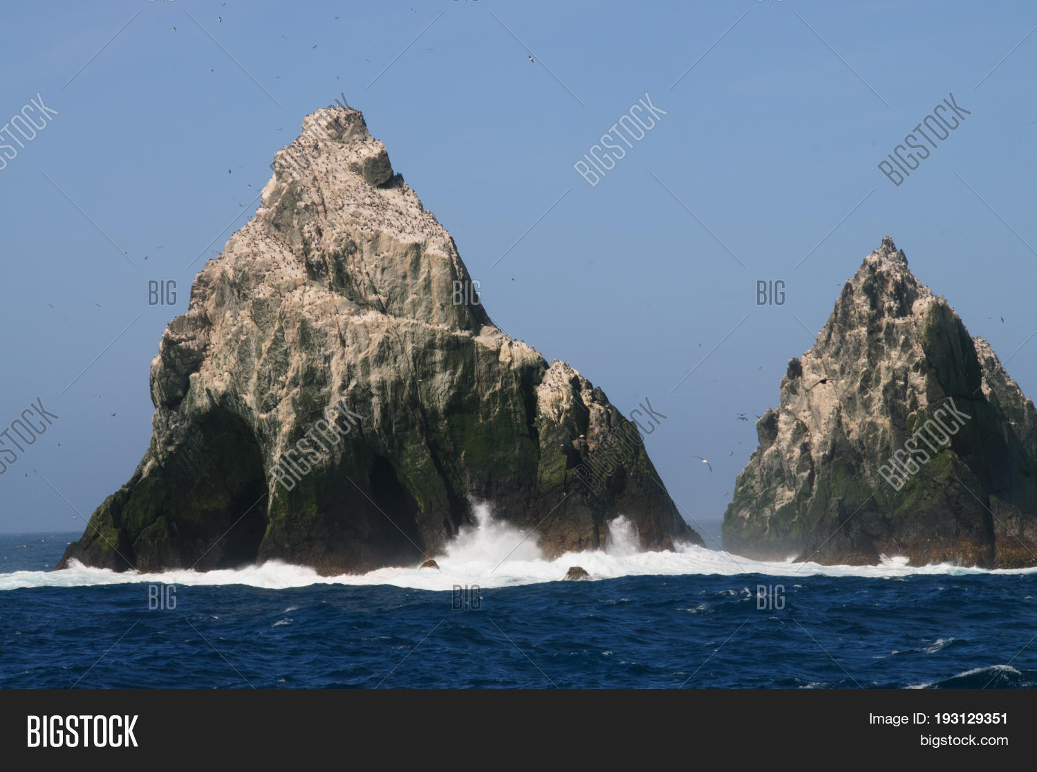 Shag Rocks Six Small, Image & Photo (Free Trial) | Bigstock
