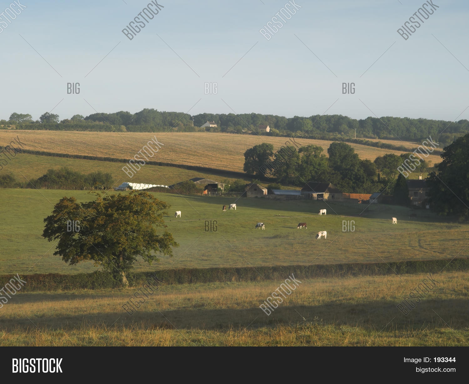Countryside Image & Photo (Free Trial) | Bigstock
