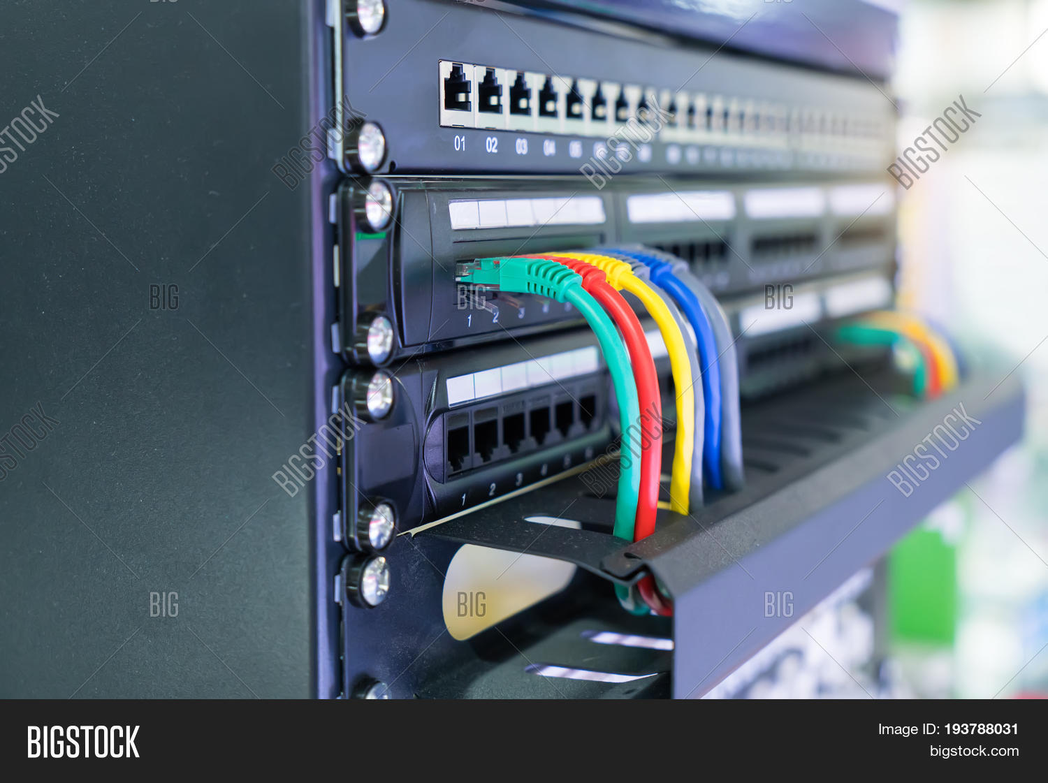 Network Cables Switch Image & Photo (Free Trial) | Bigstock