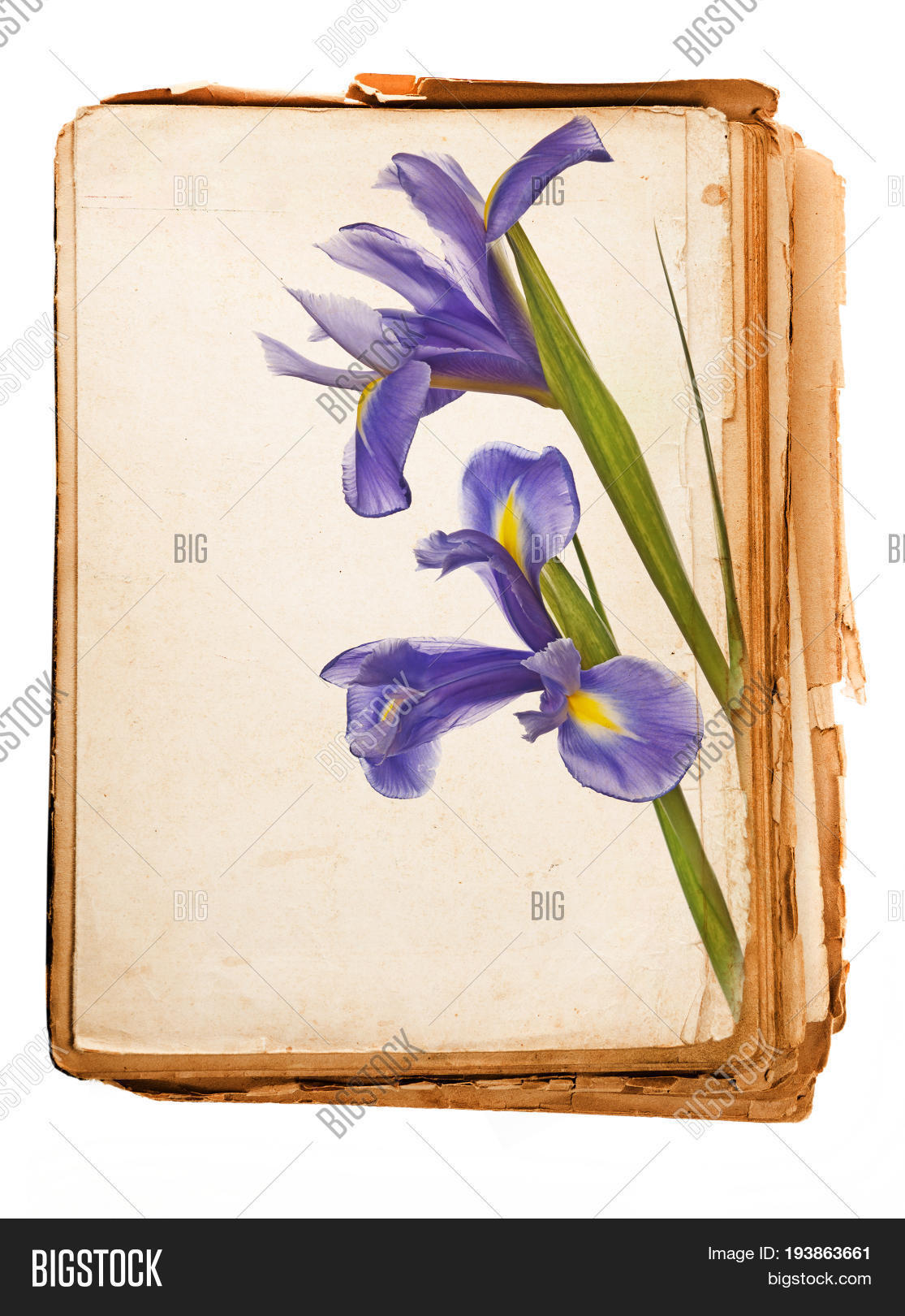 Old Book - Old Paper Image & Photo (Free Trial) | Bigstock