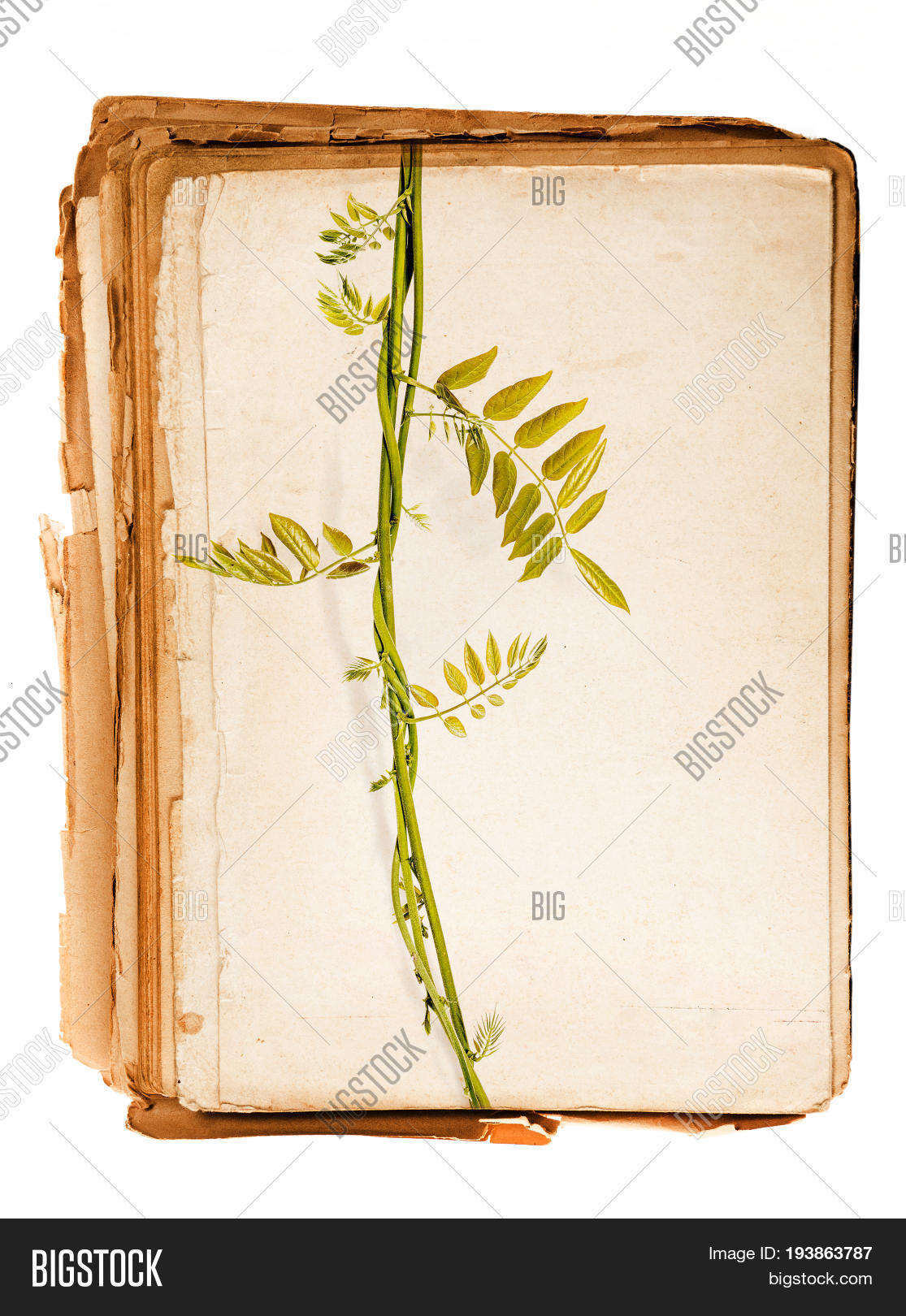 Old Book - Old Paper Image & Photo (Free Trial) | Bigstock
