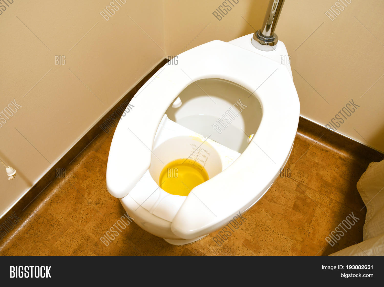 Plastic Hat Hospital Image & Photo (Free Trial) | Bigstock