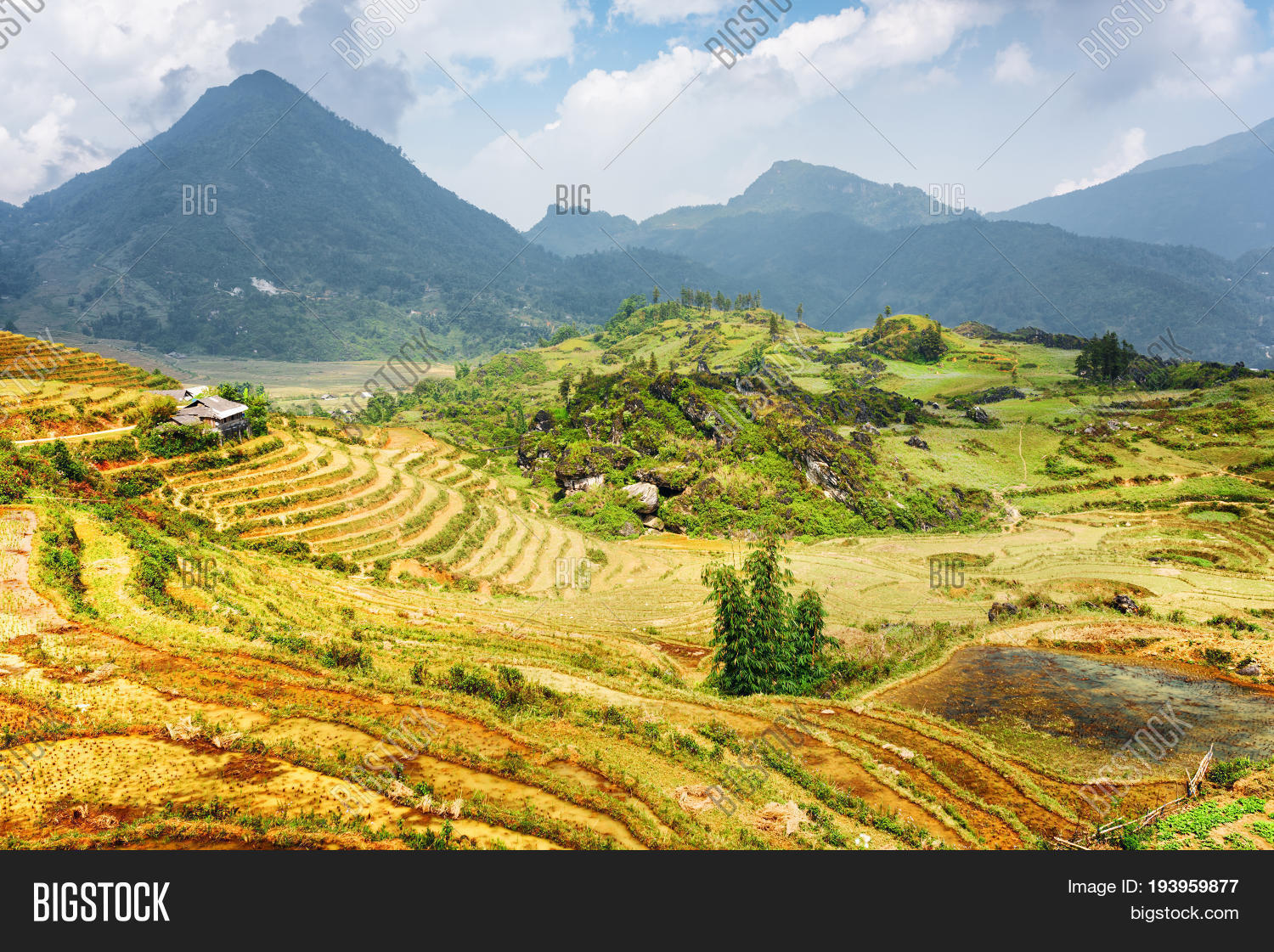 Scenic View Terraced Image & Photo (Free Trial) | Bigstock