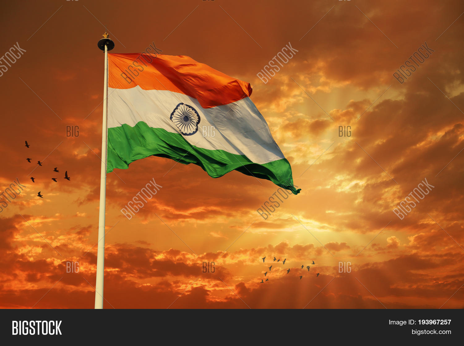 Tricolor Indian Flag Image & Photo (Free Trial) | Bigstock