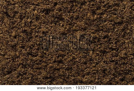 Seamless Potting Soil Texture