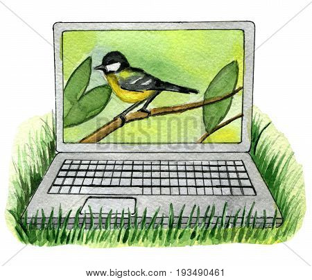 Images, Illustrations & Vectors (Free) - Bigstock