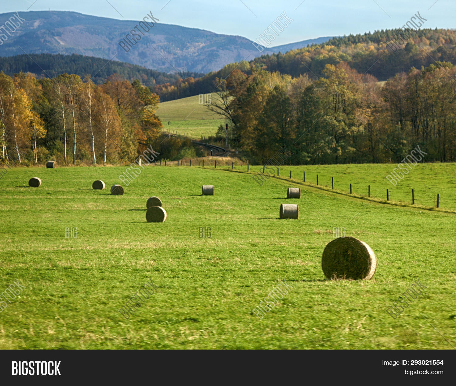 Harvesting Stage Straw Image & Photo (Free Trial) | Bigstock