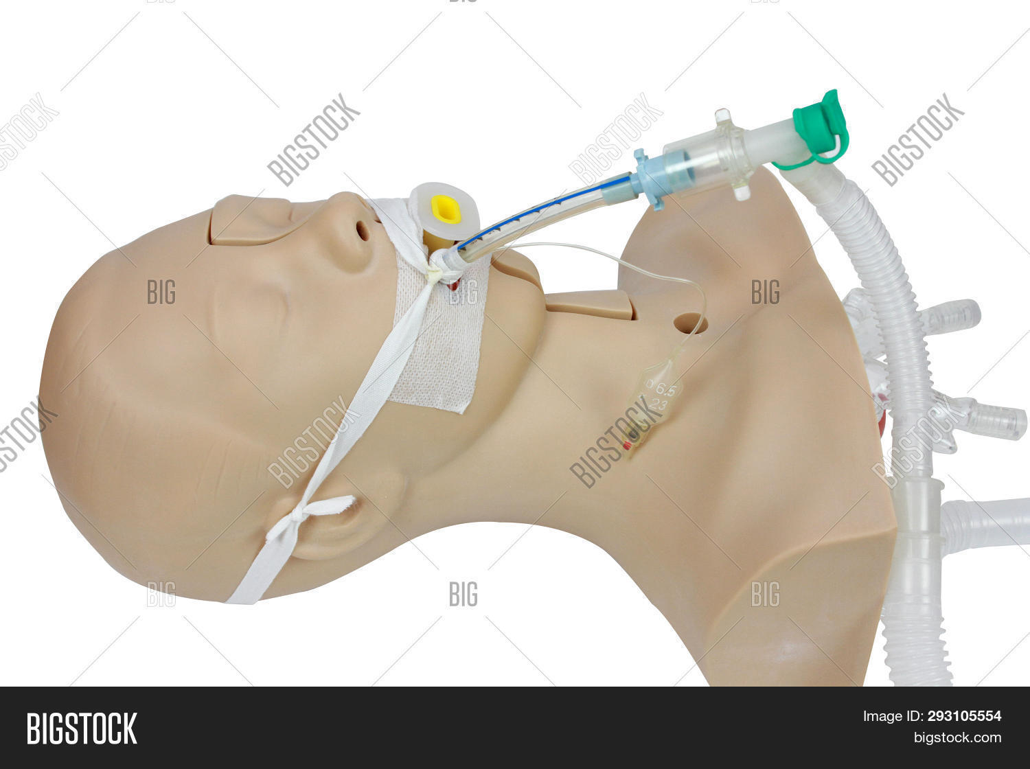 Medical Simulation Image & Photo (Free Trial) | Bigstock