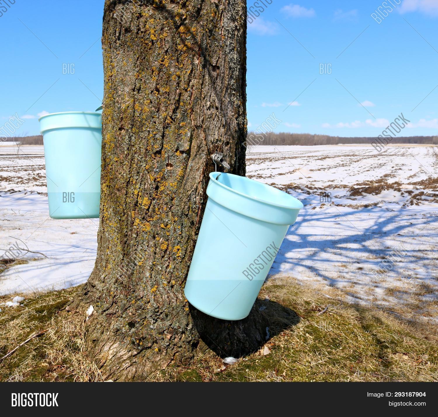 Two Blue Plastic Pails Image & Photo (Free Trial) | Bigstock