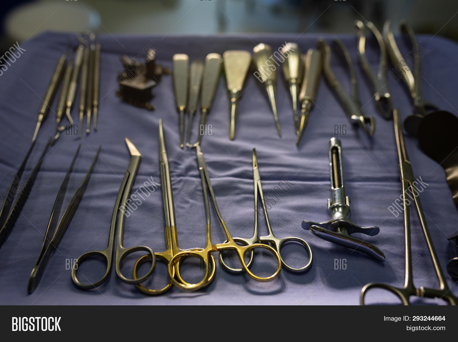 Front View Basic Image & Photo (Free Trial) | Bigstock