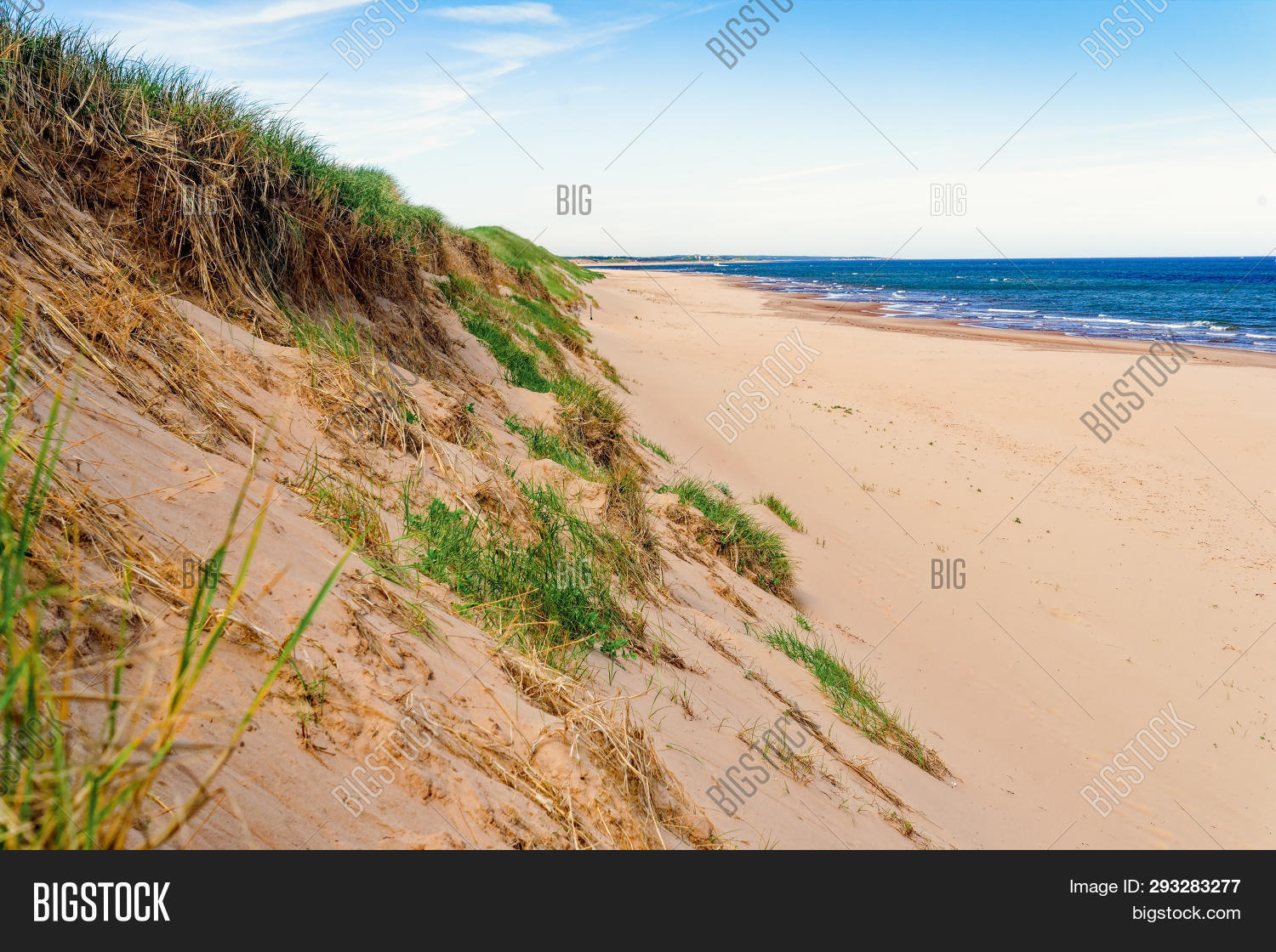 Vast Expanse Beach Image & Photo (Free Trial) | Bigstock