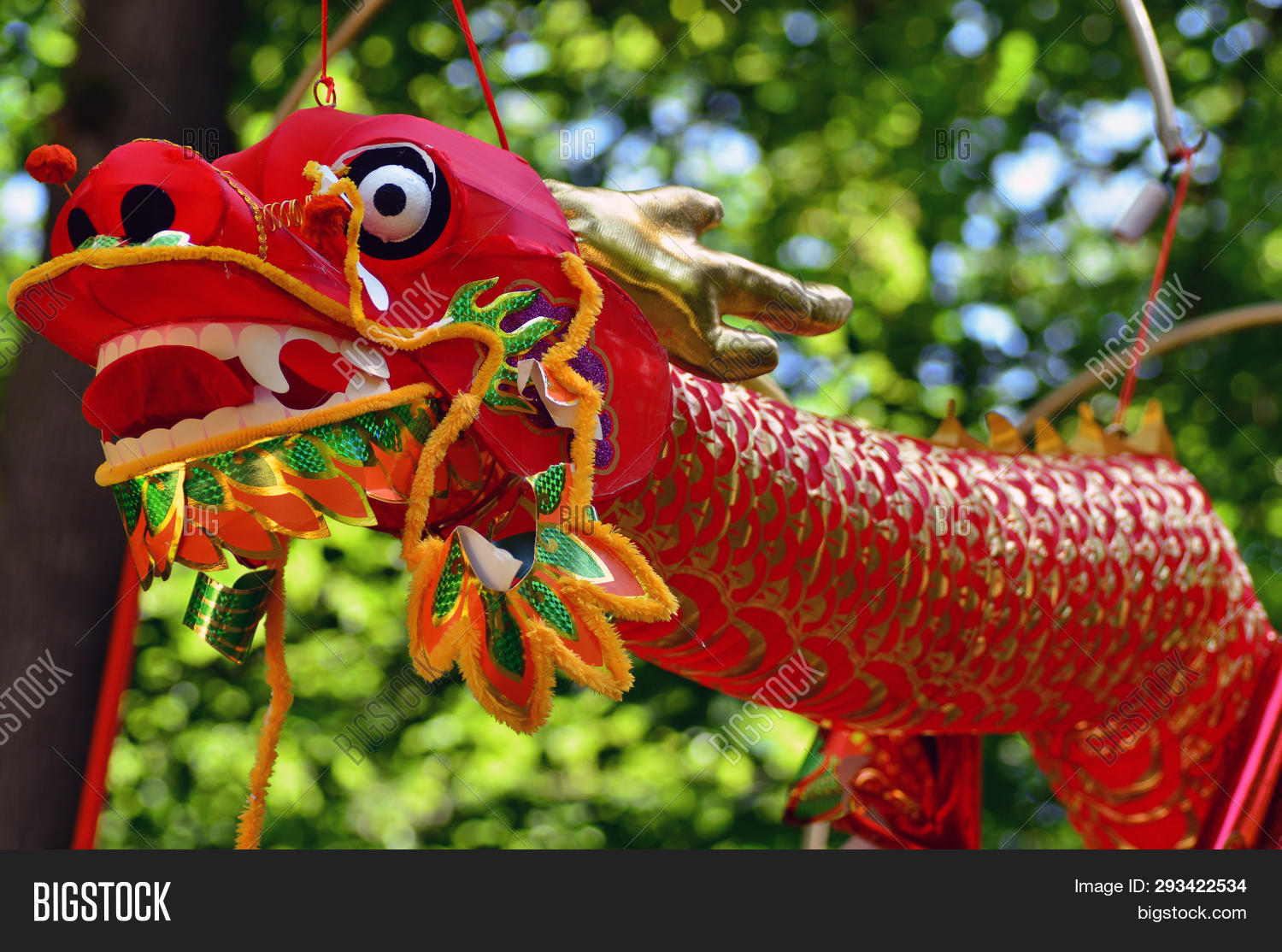 Chinese Dragon Image & Photo (Free Trial) | Bigstock