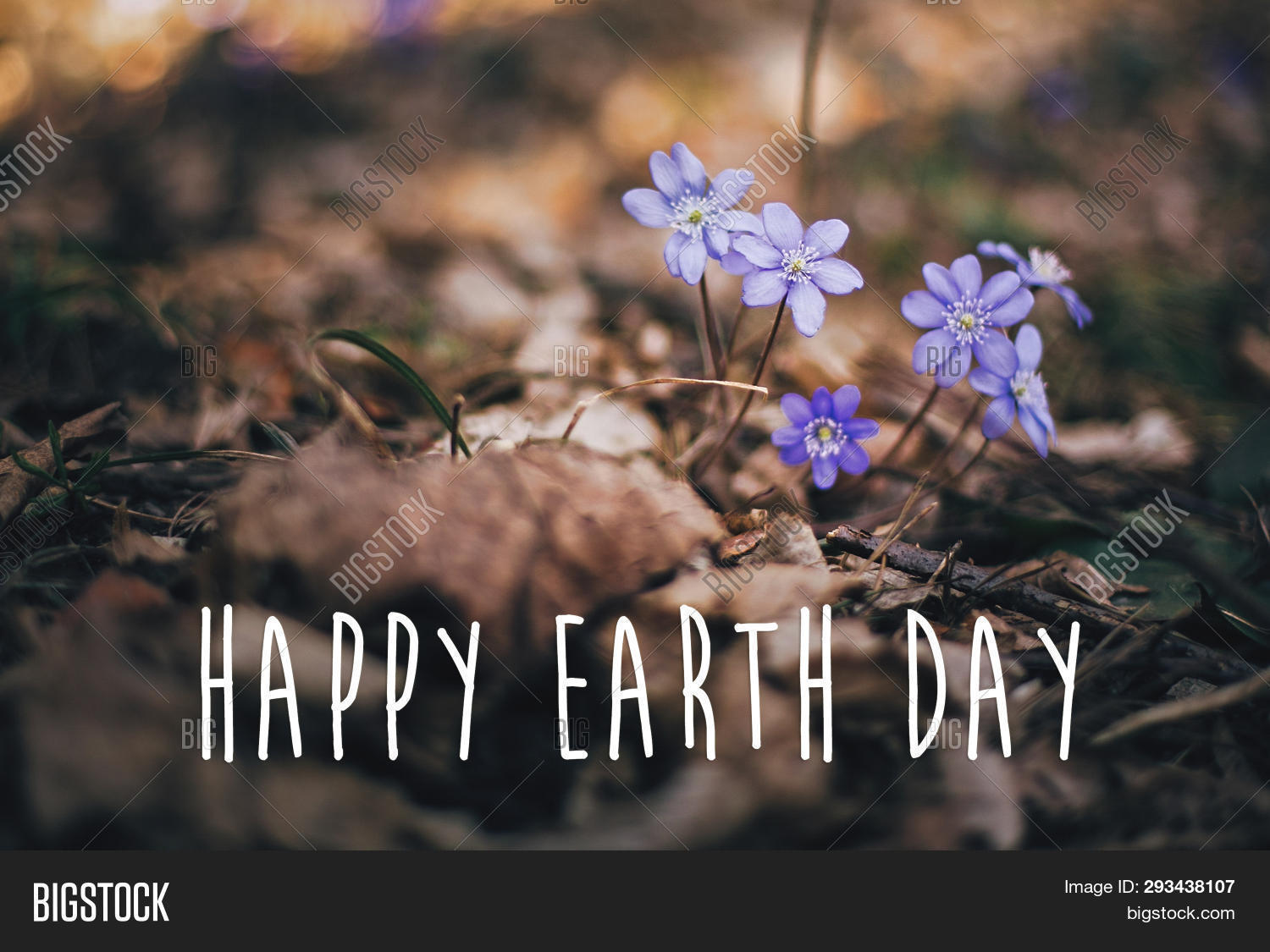 Happy Earth Day Text, Image & Photo (Free Trial) | Bigstock