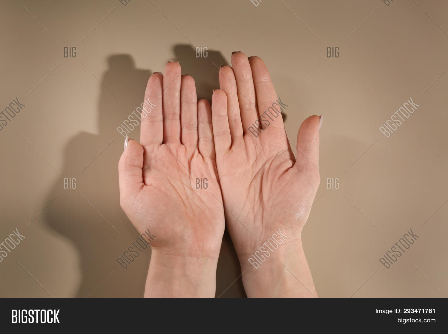 Woman Showing Palms On Image & Photo (Free Trial) | Bigstock
