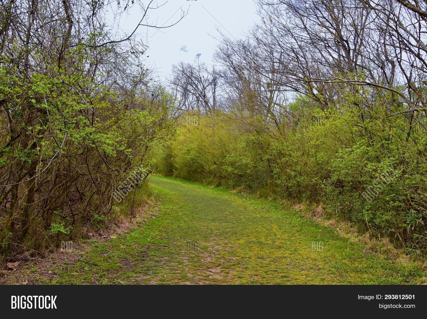 Views Nature Pathways Image & Photo (Free Trial) | Bigstock