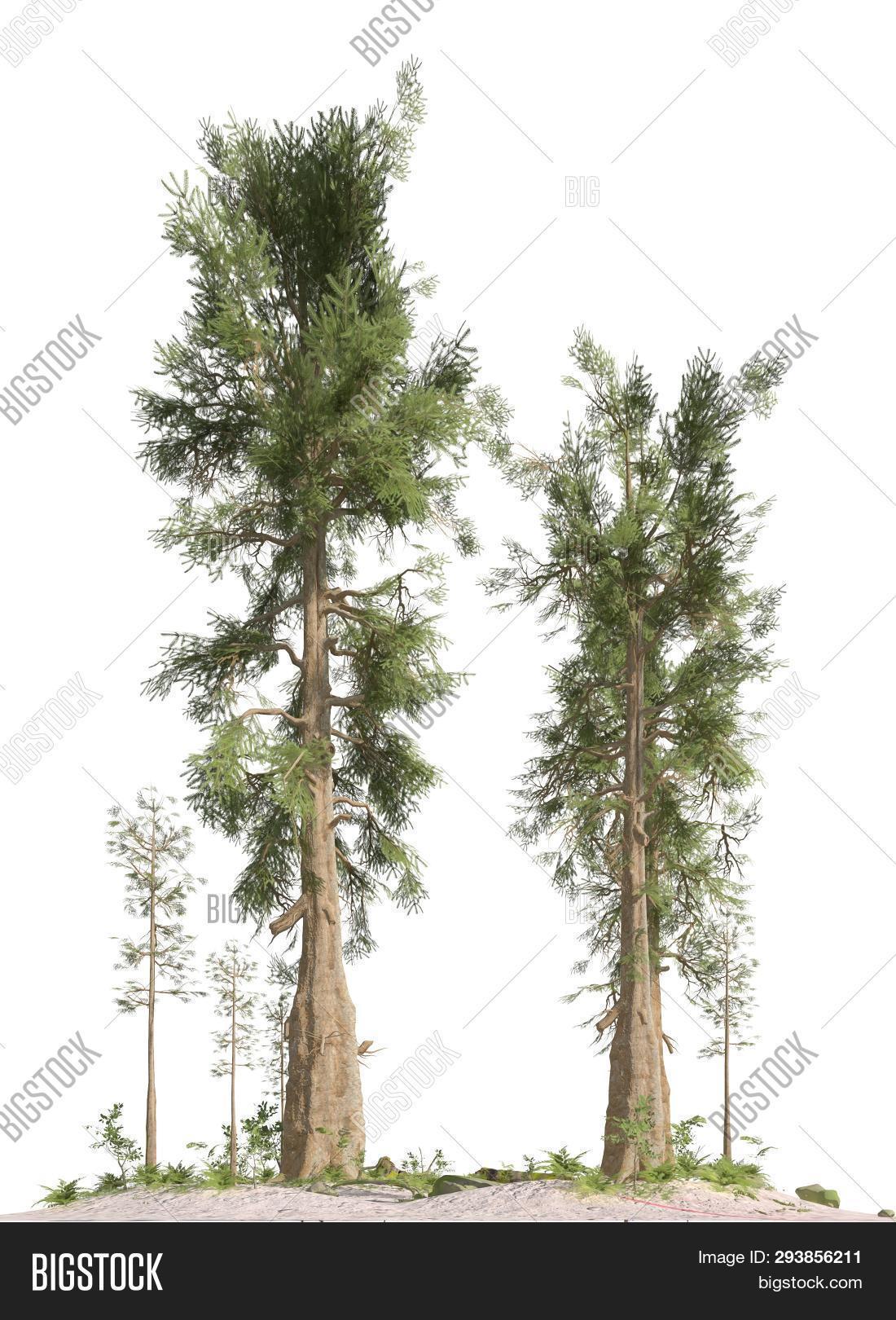 Trees Mesozoic Era Image & Photo (Free Trial) | Bigstock