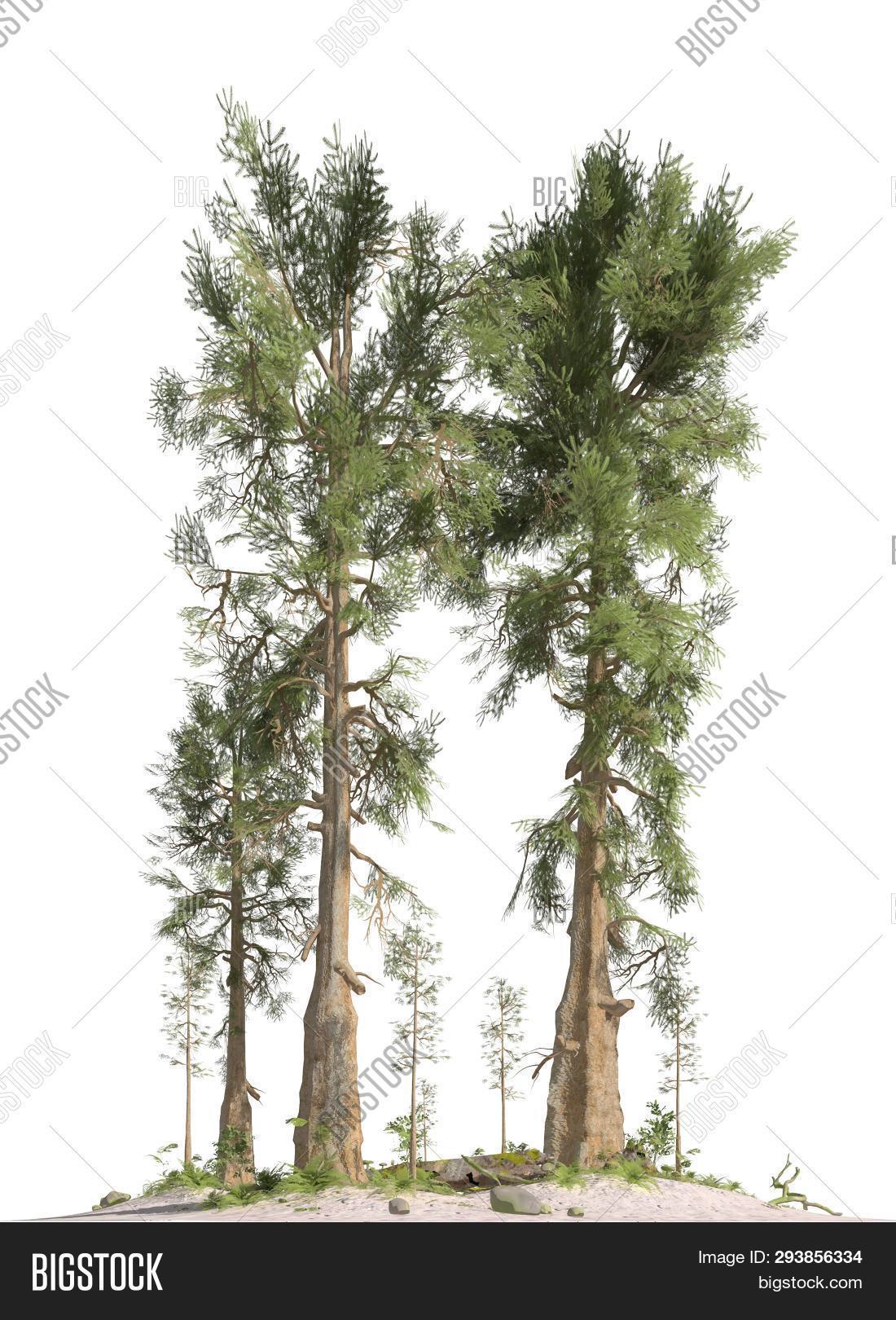 Trees Mesozoic Era Image & Photo (Free Trial) | Bigstock