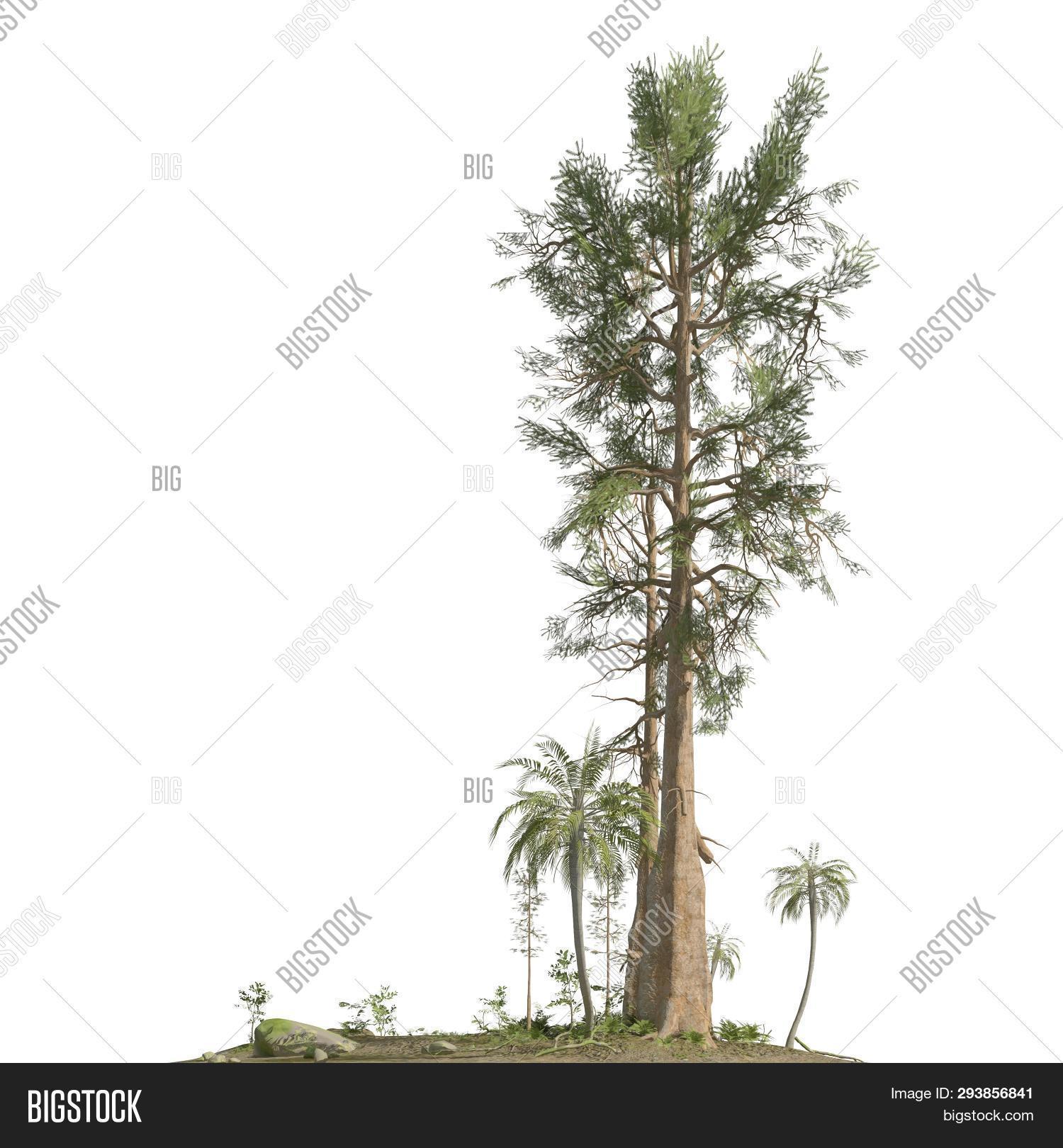 Trees Mesozoic Era Image & Photo (Free Trial) | Bigstock