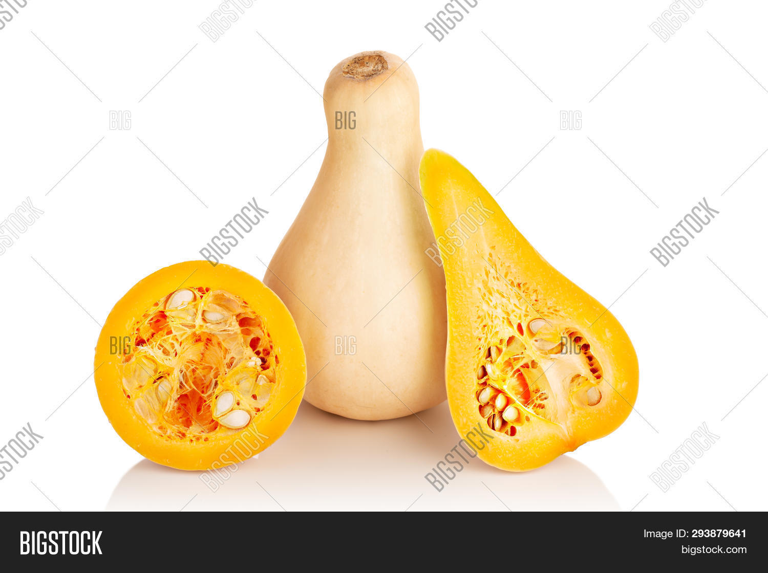 Fresh Butternut Squash Image & Photo (Free Trial) | Bigstock