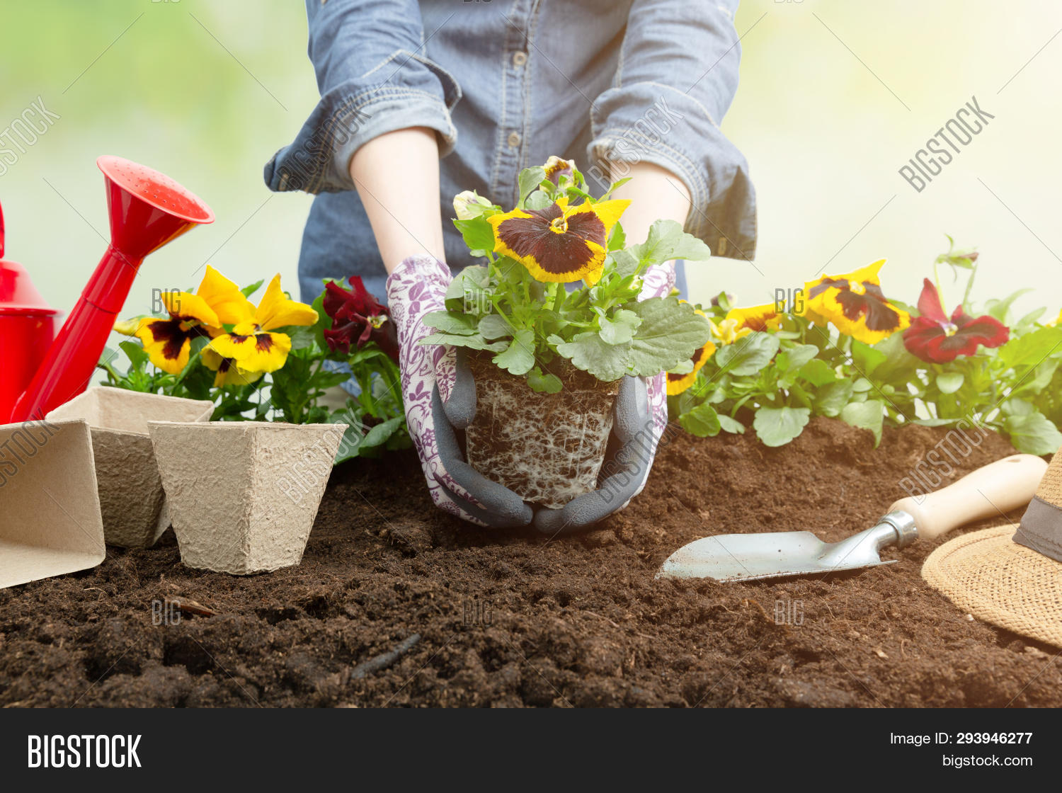 Gardener Woman Image & Photo (Free Trial) | Bigstock
