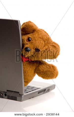 Teddy Bear Laptop Image & Photo (Free Trial) | Bigstock