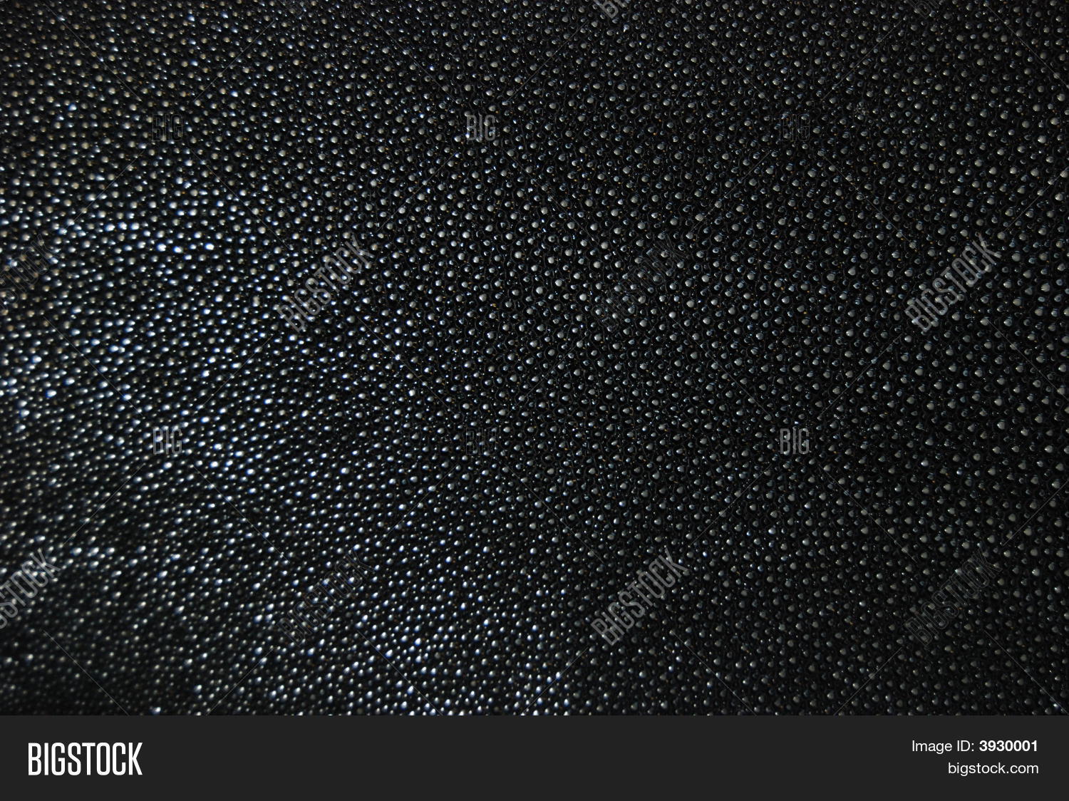 Black Ray Skin Image & Photo (Free Trial) | Bigstock