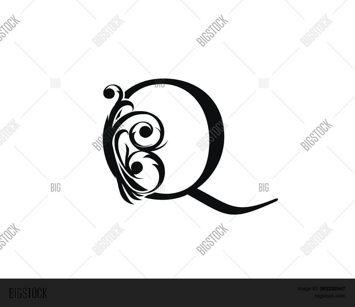 Calligrapic Letter Q Vector & Photo (Free Trial) | Bigstock