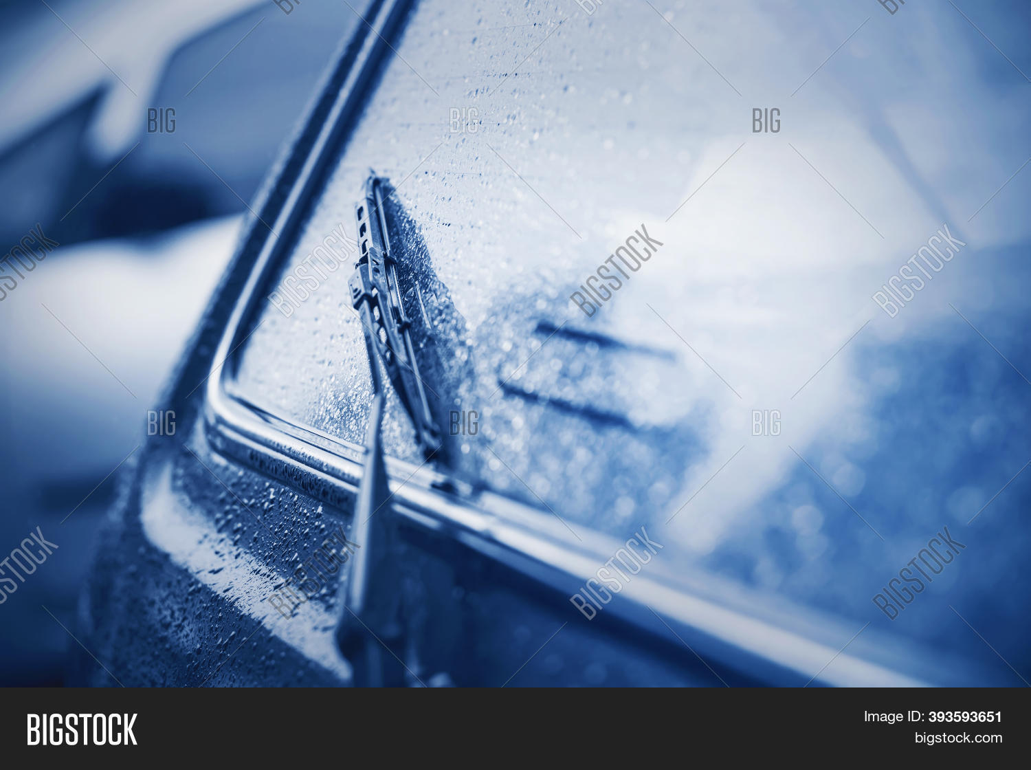 Rear Window Car Black Image & Photo (Free Trial) | Bigstock