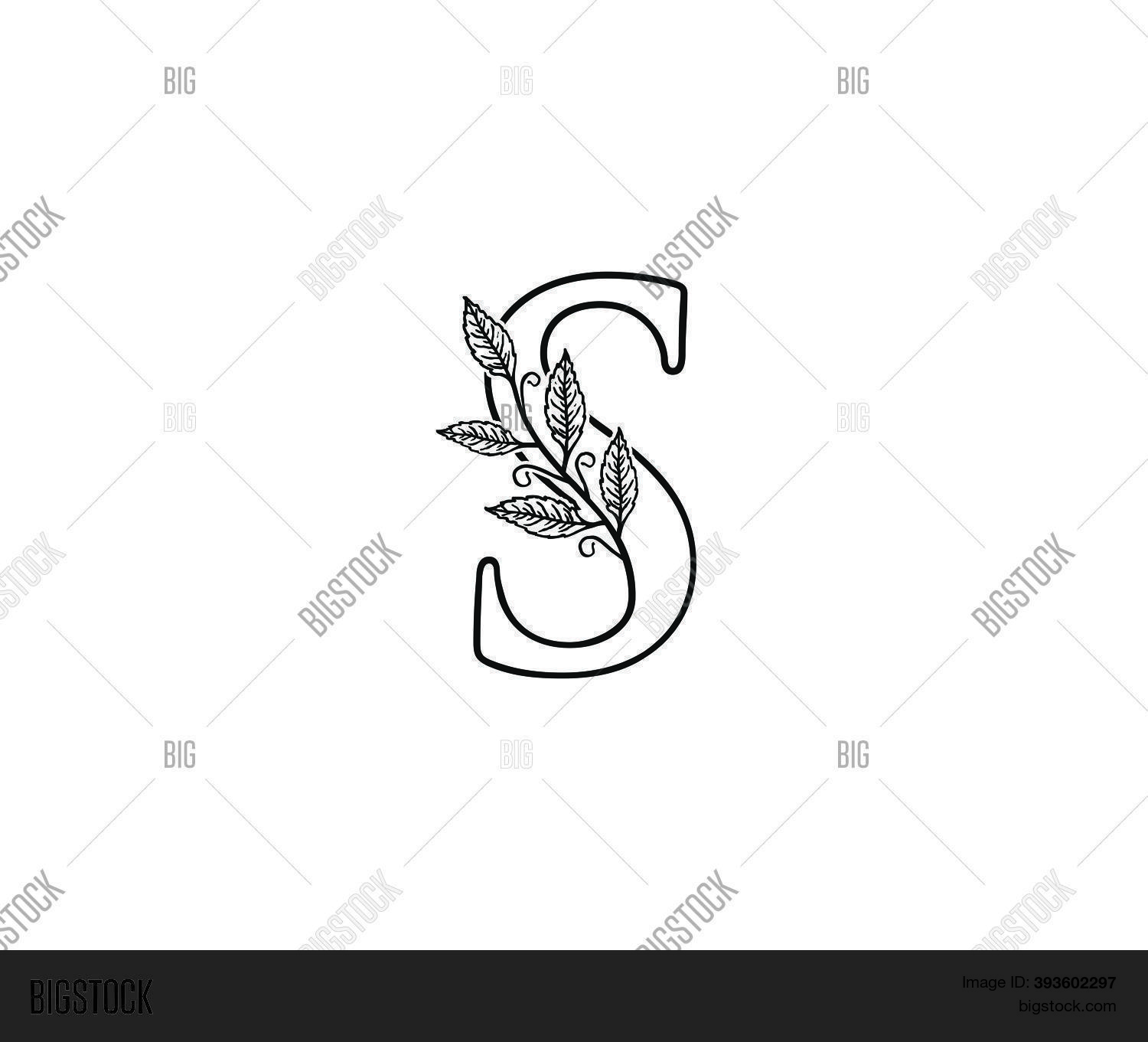 Initial S Letter Vector & Photo (Free Trial) | Bigstock