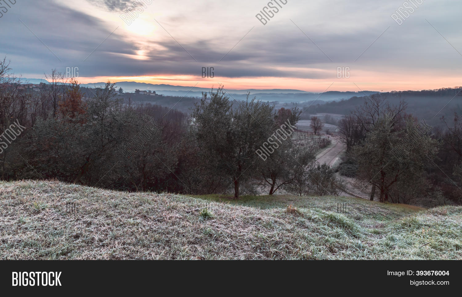 Cold Misty Morning Image & Photo (Free Trial) | Bigstock