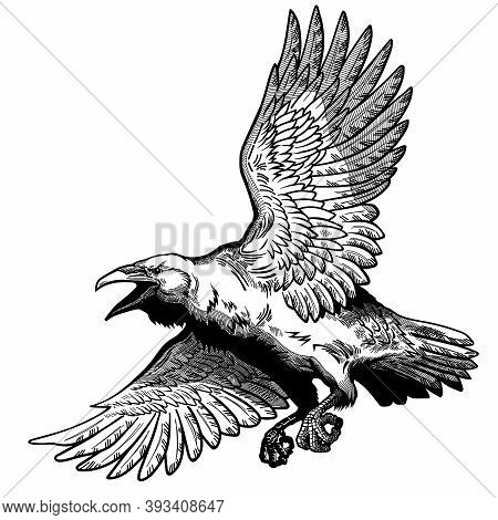 Raven Flight. Flying Vector & Photo (Free Trial) | Bigstock