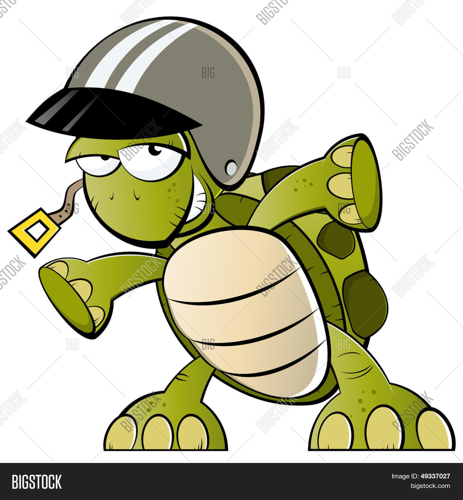 Funny Cartoon Turtles