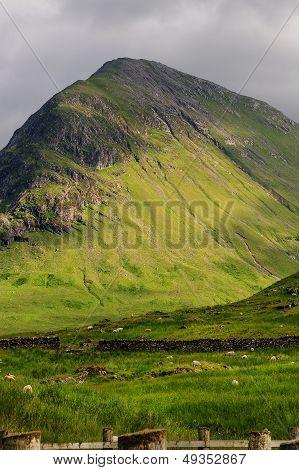 Green Scotland Image & Photo (Free Trial) | Bigstock