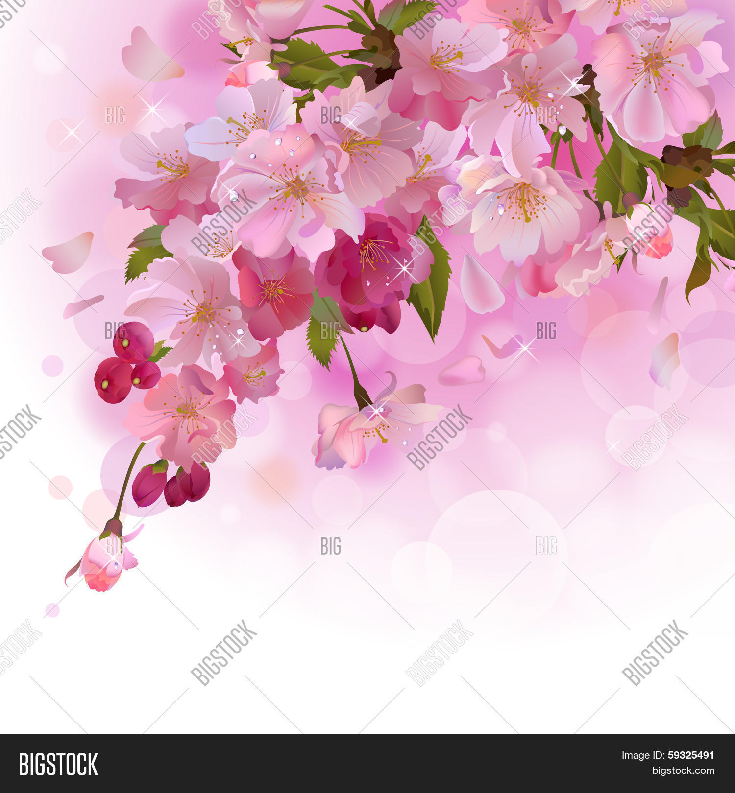 Pink Card Cherry Vector & Photo (Free Trial) | Bigstock