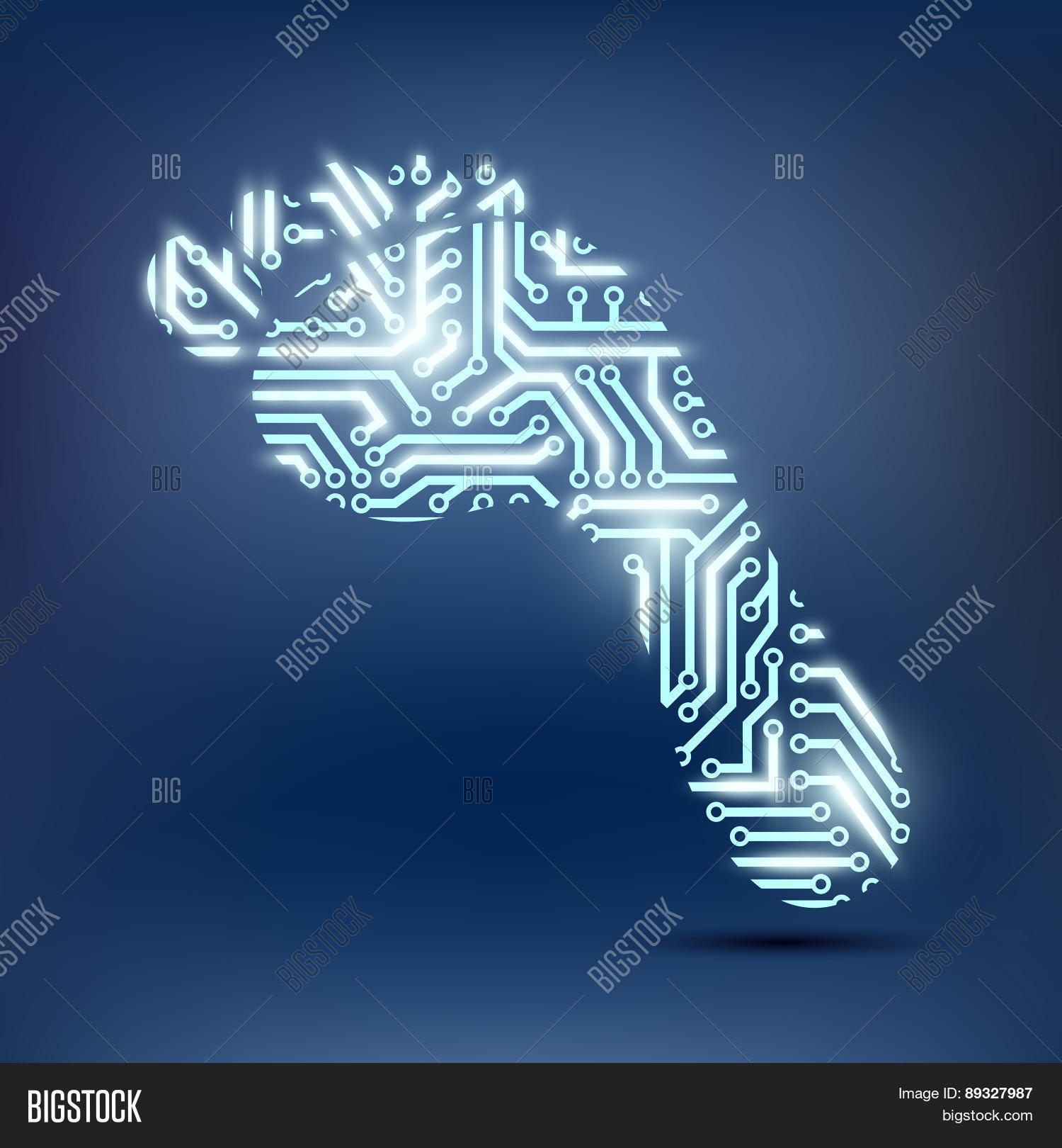 Footprint Chip Vector & Photo (Free Trial) | Bigstock