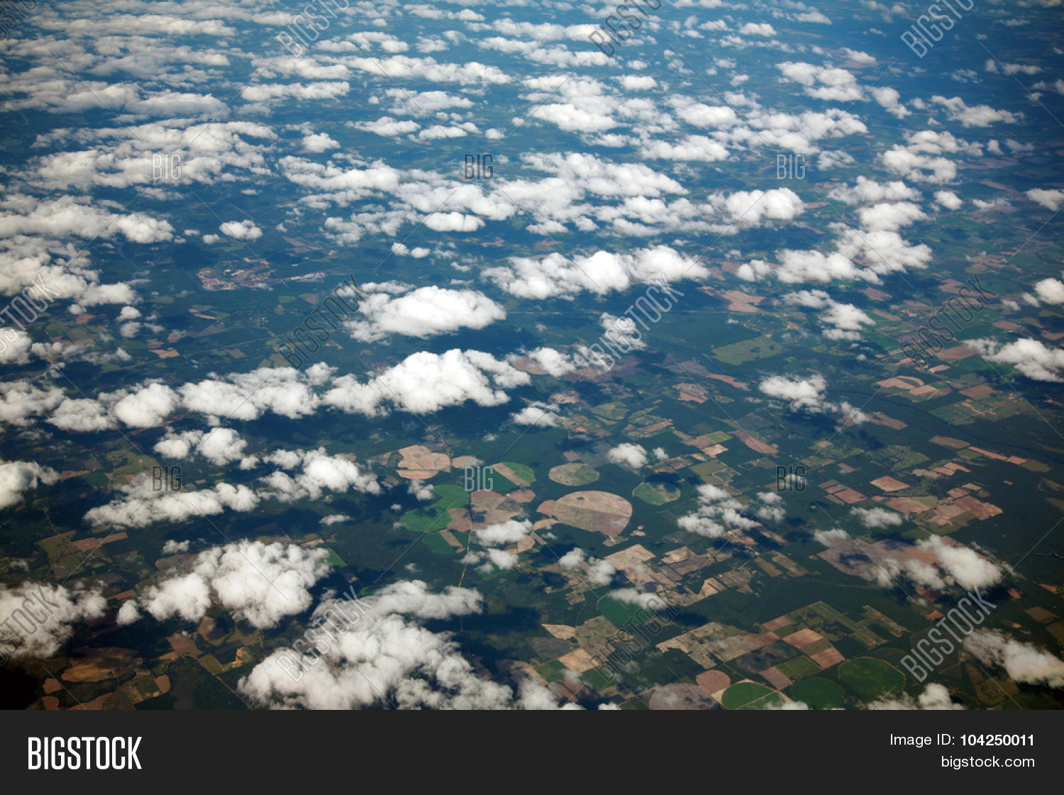 Unique View Florida Image & Photo (Free Trial) | Bigstock