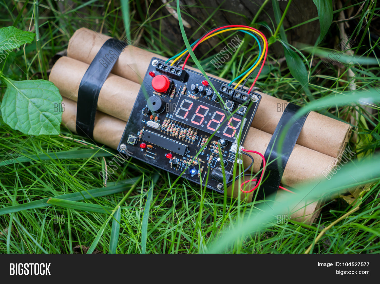 TNT Time Bomb On Grass Image & Photo (Free Trial) | Bigstock