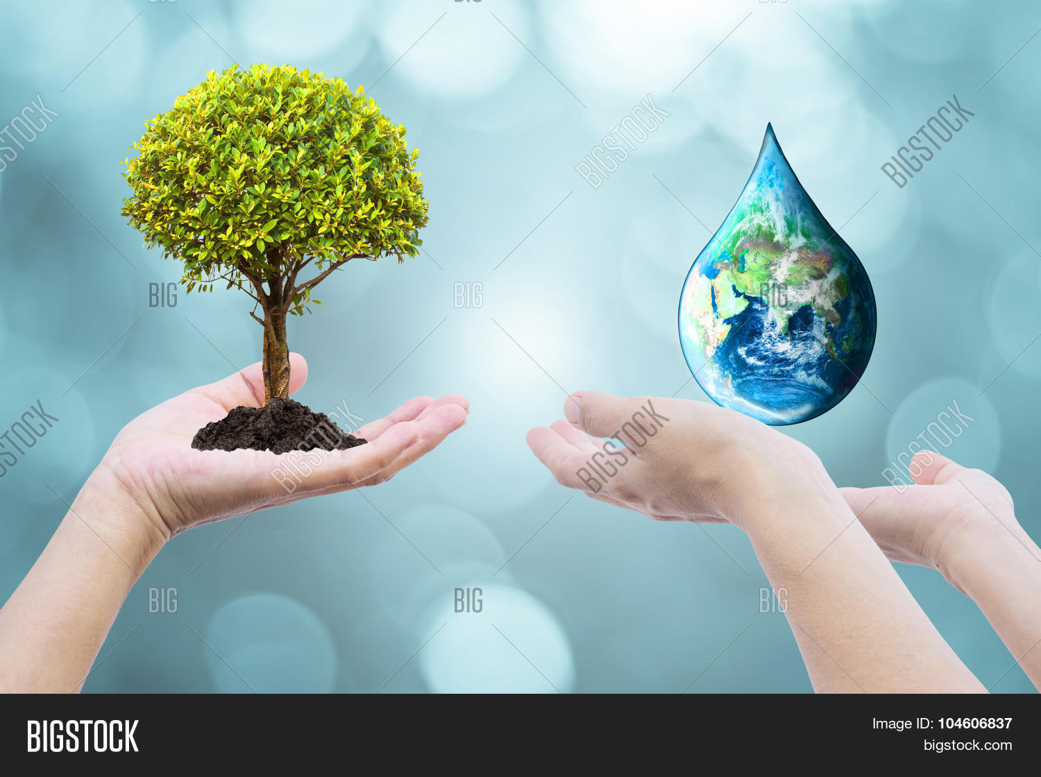 Two Human Hands Tree Image & Photo (Free Trial) | Bigstock