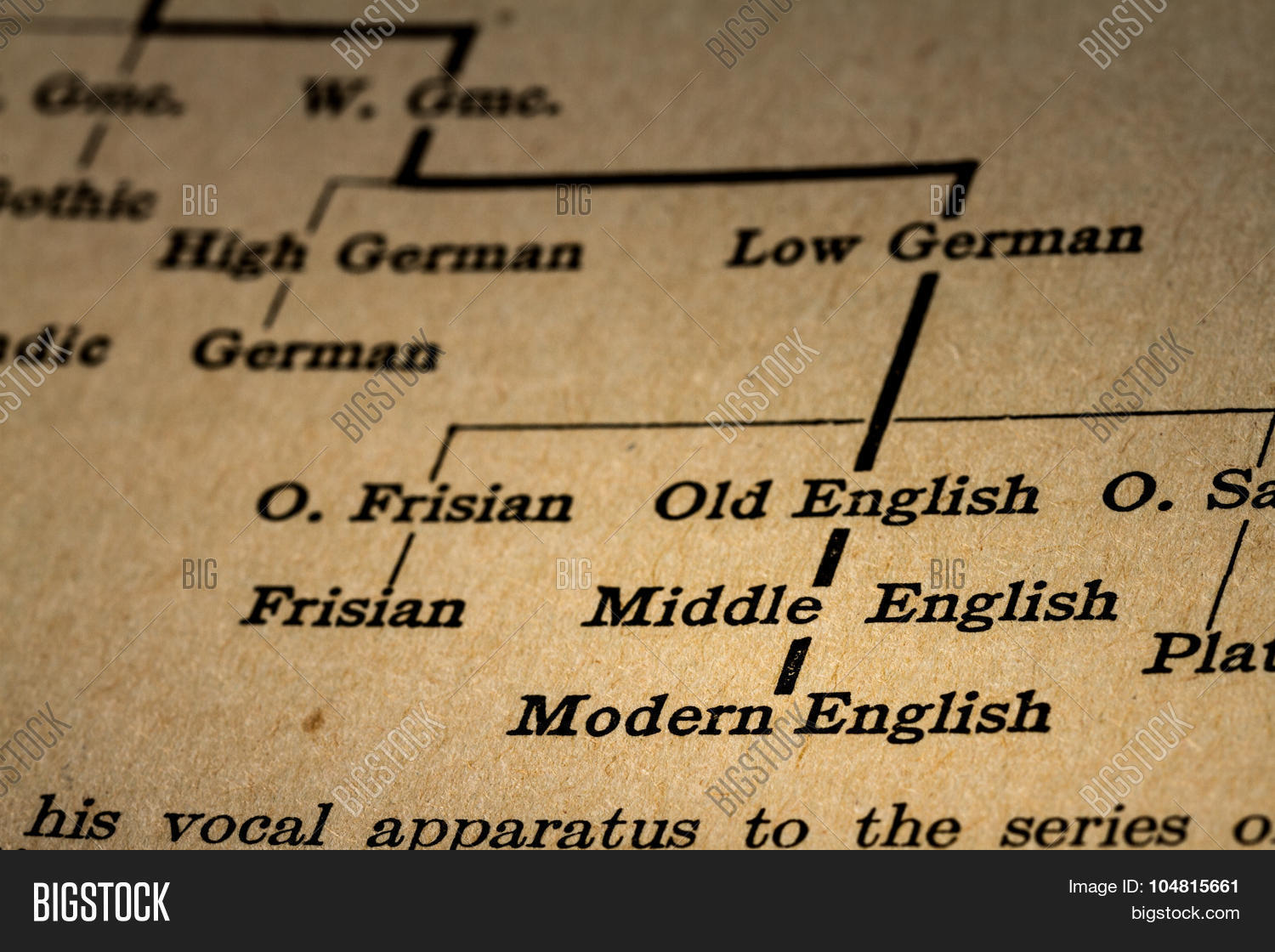 Explanation Evolution Image & Photo (Free Trial) | Bigstock