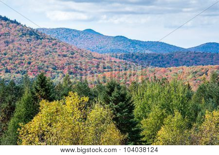 Fall Colors Adirondack Image & Photo (Free Trial) | Bigstock