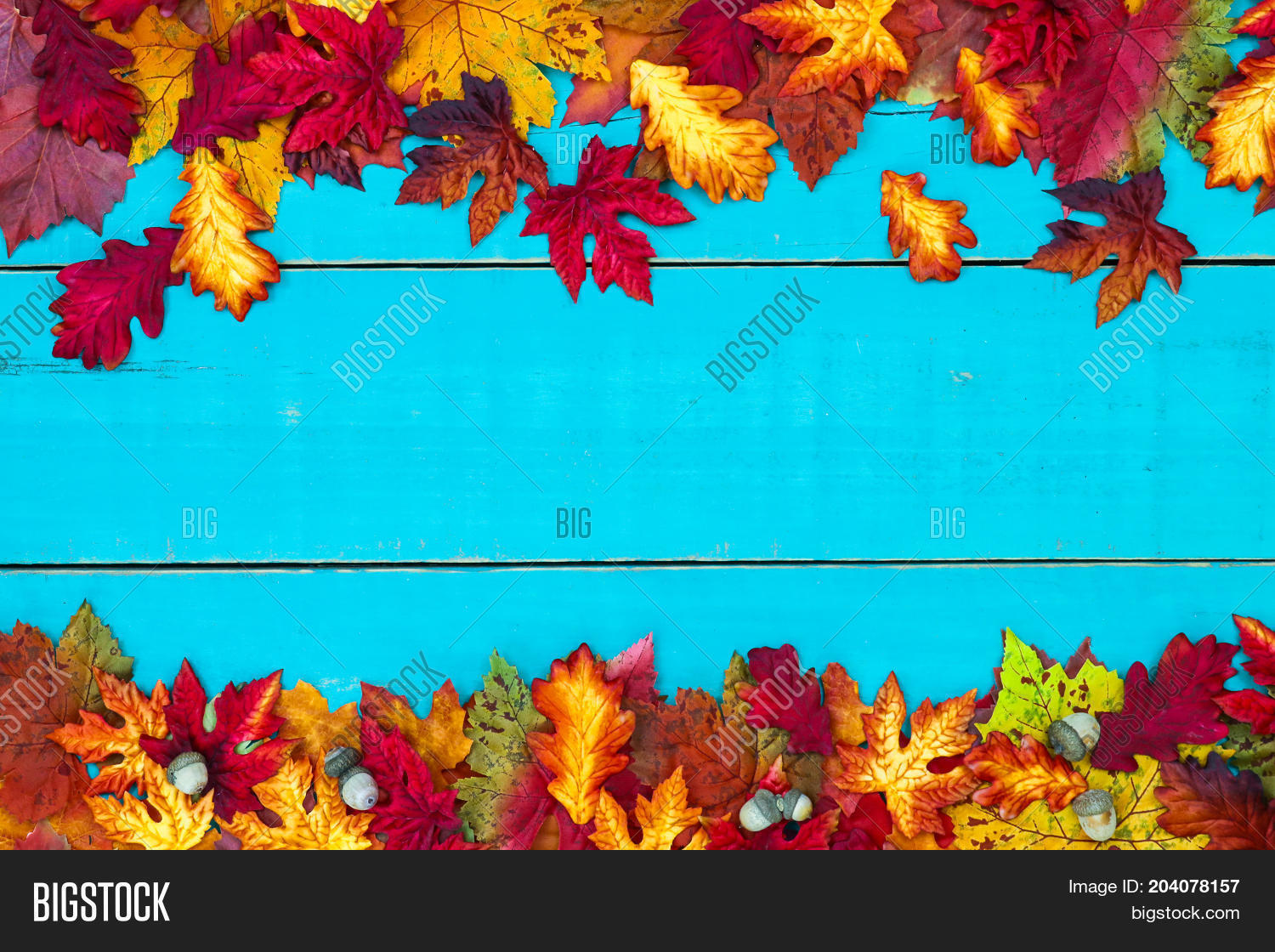 Colorful Fall Leaves Image & Photo (Free Trial) | Bigstock