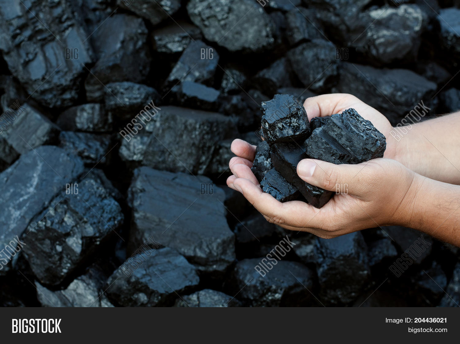 Coal Mining - Hands Image & Photo (Free Trial) | Bigstock