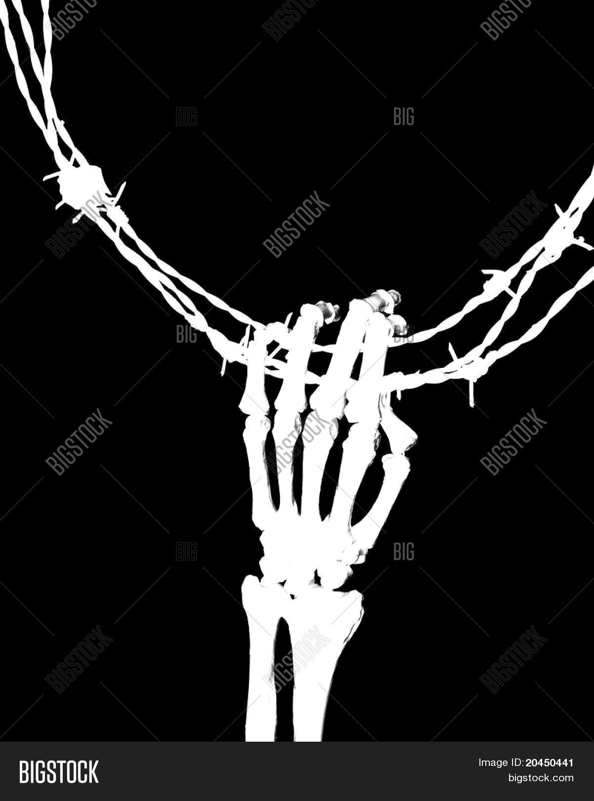 Silhouette Skeleton Image & Photo (Free Trial) | Bigstock