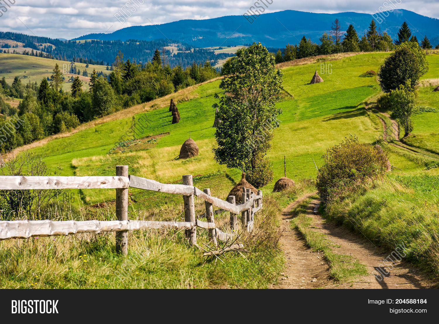 Road Rural Fields On Image & Photo (Free Trial) | Bigstock