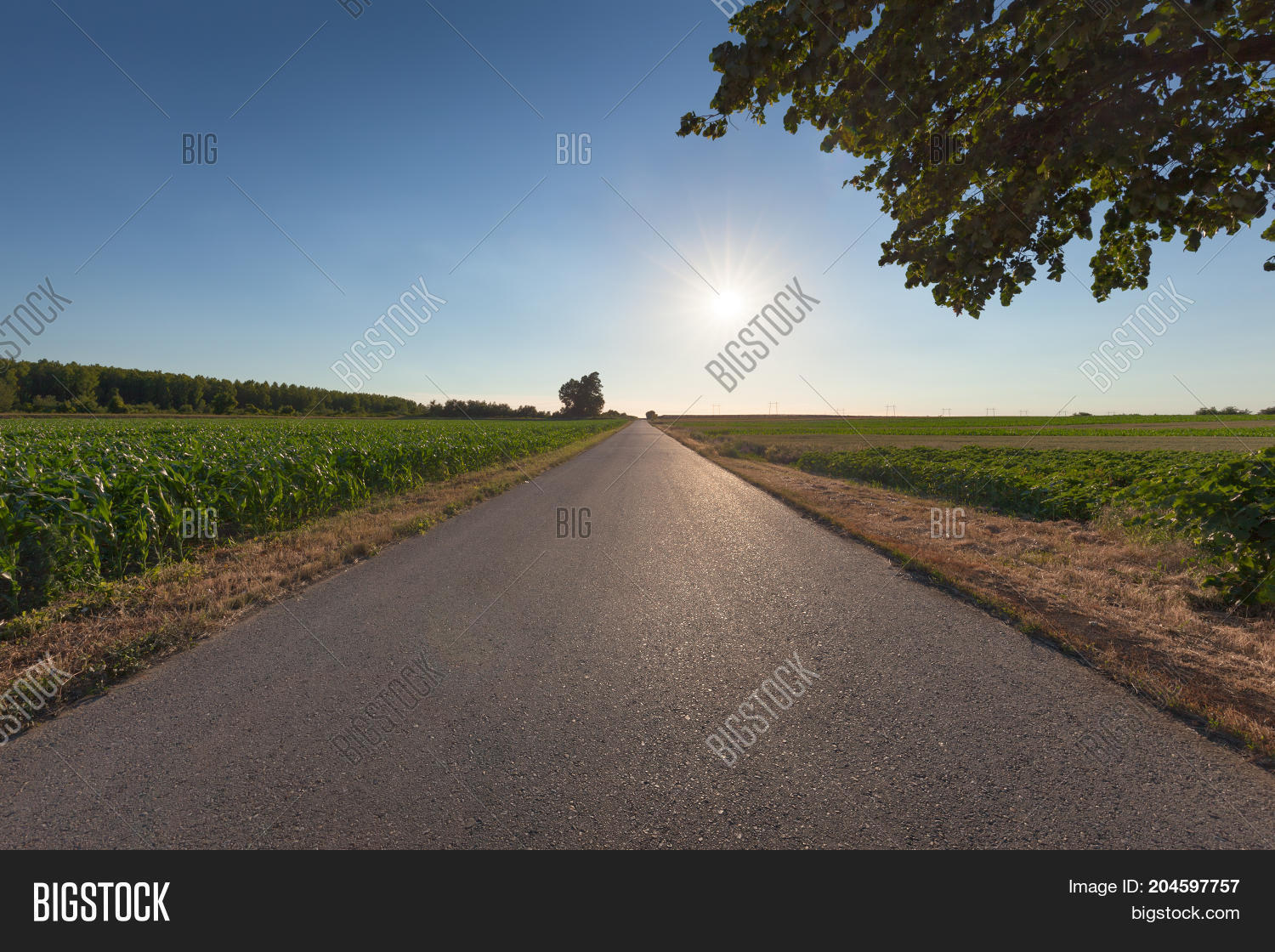 Driving On Empty Open Image & Photo (Free Trial) | Bigstock