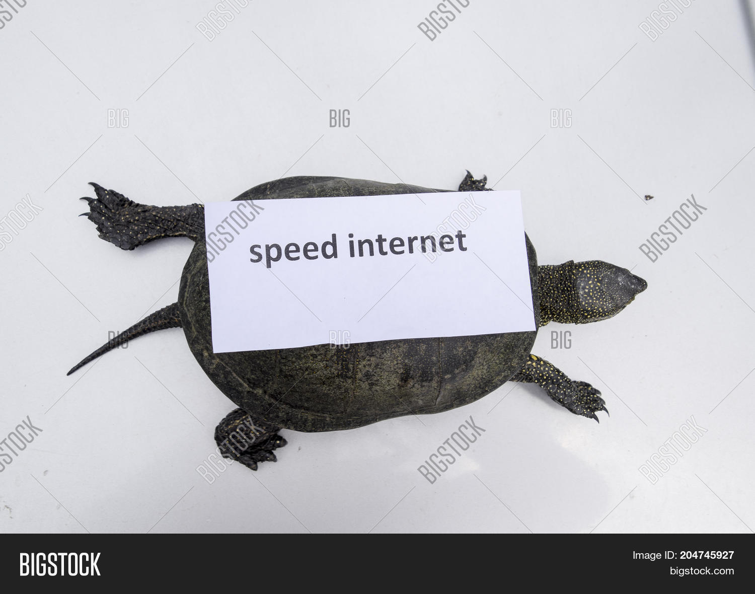 Internet Speed. Bad Image & Photo (Free Trial) | Bigstock