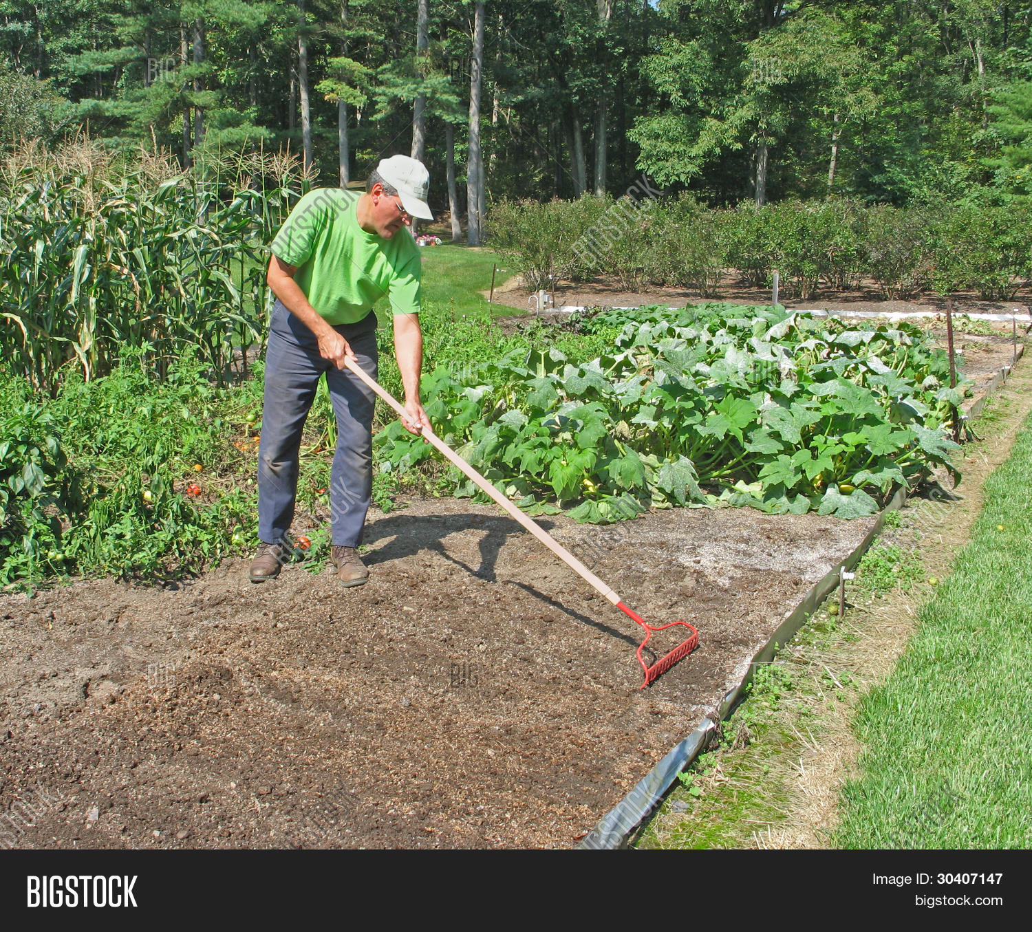 Man Raking Garden Image & Photo (Free Trial) | Bigstock
