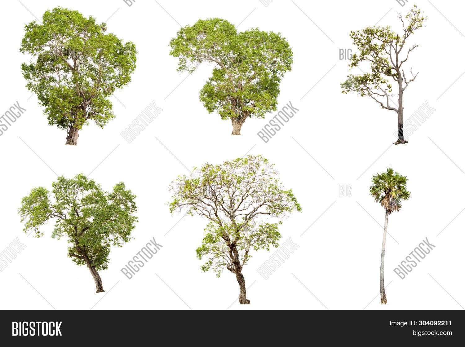 Collection Isolate Image & Photo (Free Trial) | Bigstock