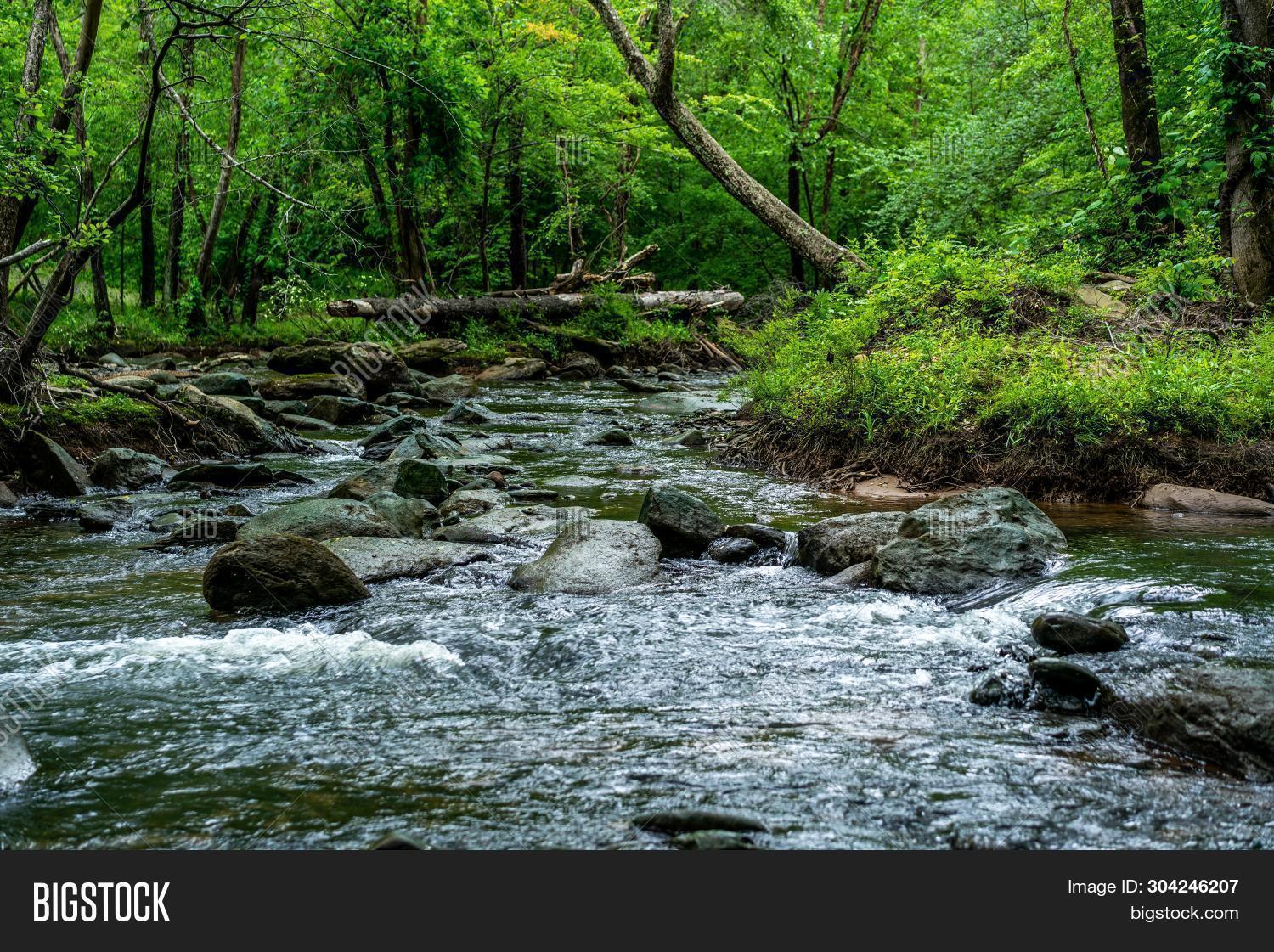 Fabulous Broad River Image & Photo (Free Trial) | Bigstock